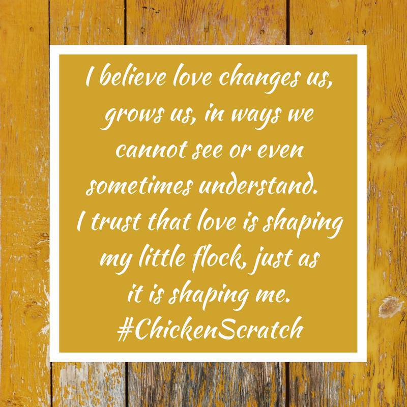 Chicken Scratch by Kelly Chripczuk – Grab the Lapels